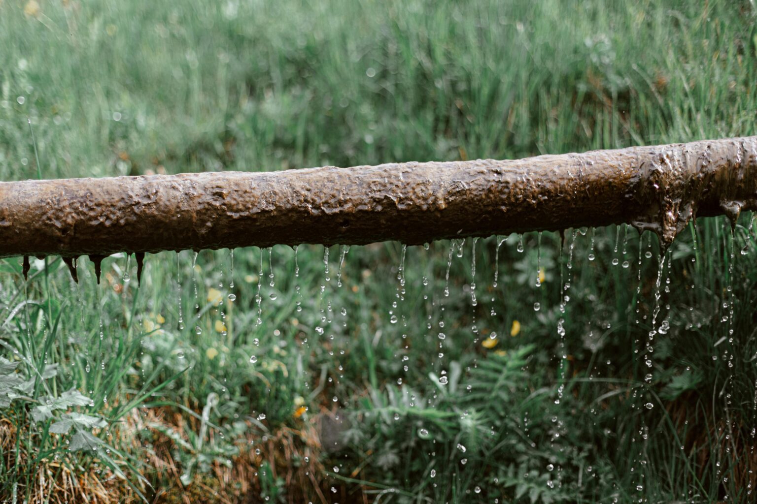 Rusty Pipes: What To Do And How To Prevent Future Problems